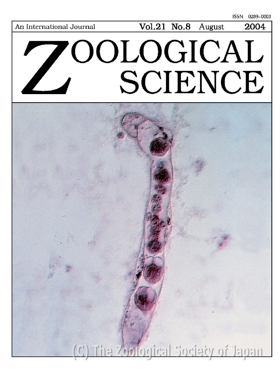 Dicyemid mesozoan ( Dicyema acuticephalum ). Infusoriform embryos ...